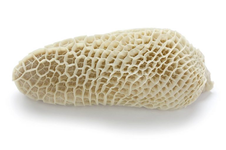 Beef Honeycomb – Optimeat