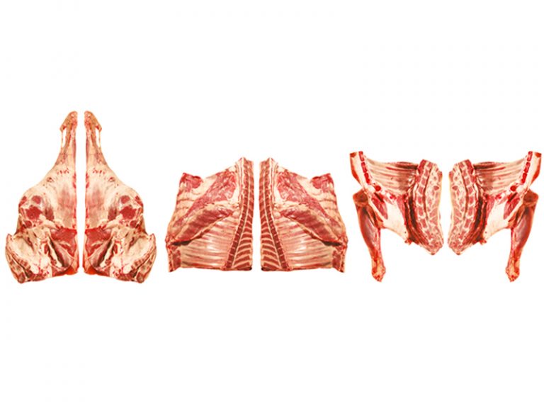 Mutton 6 way cuts – Optimeat