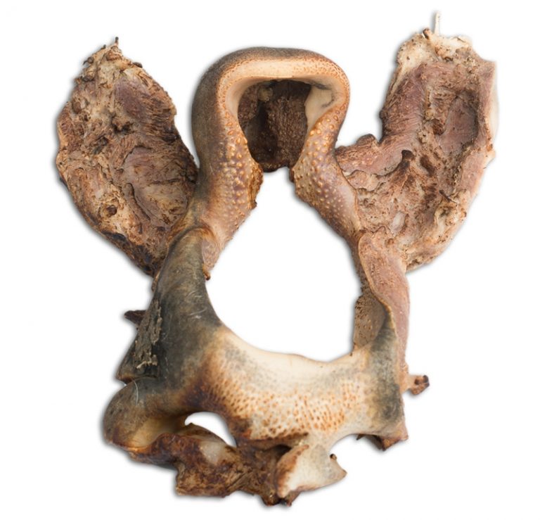 Beef lips – Optimeat